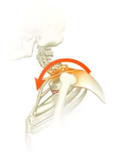 Dynamic Neuromuscular Stabilization (DNS) treatment in New York